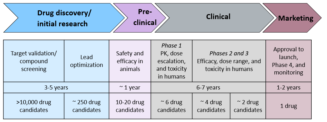 Drug Development Process Overview